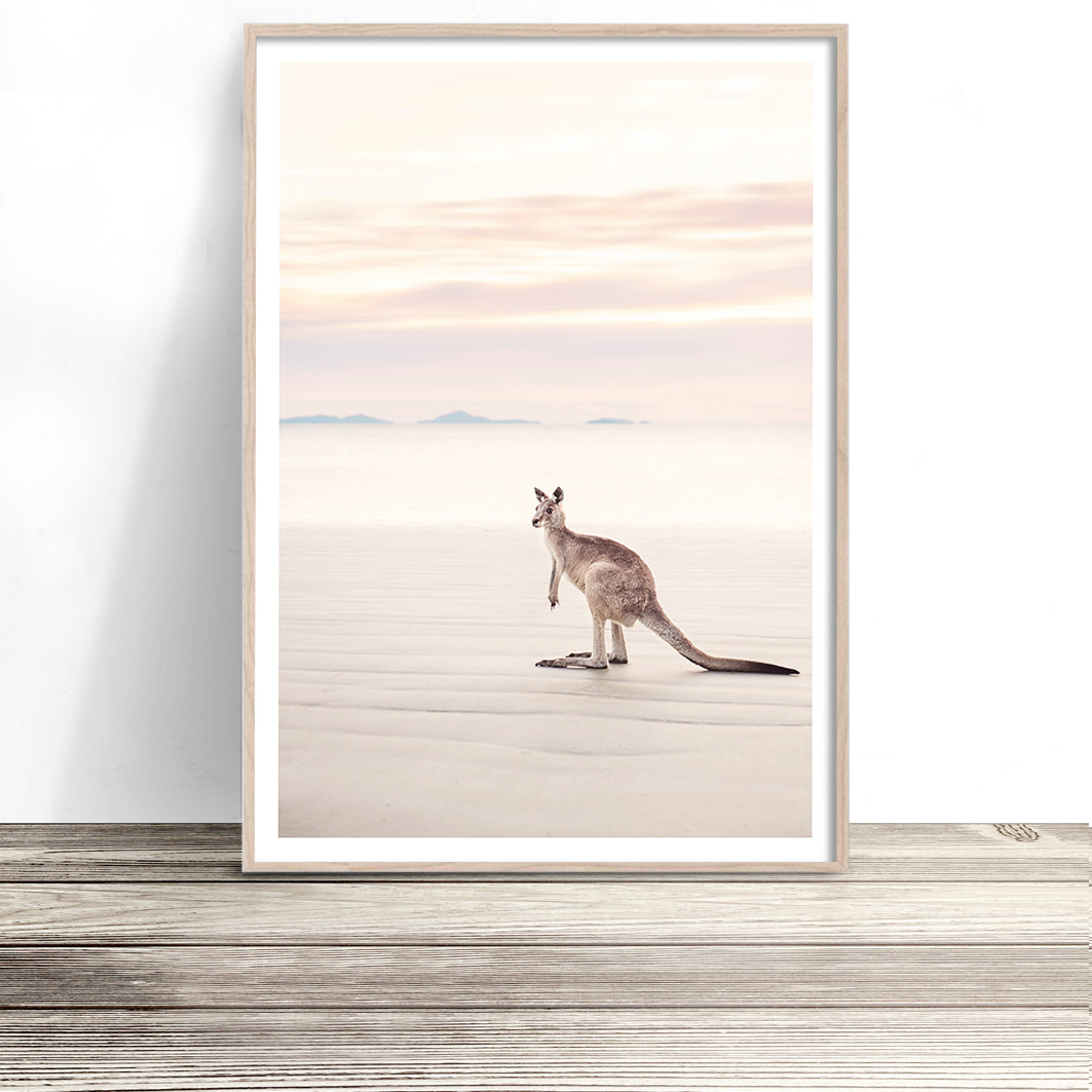 Shop Kangaroo Art Print | Native Australian Animal Wall Art – Little ...