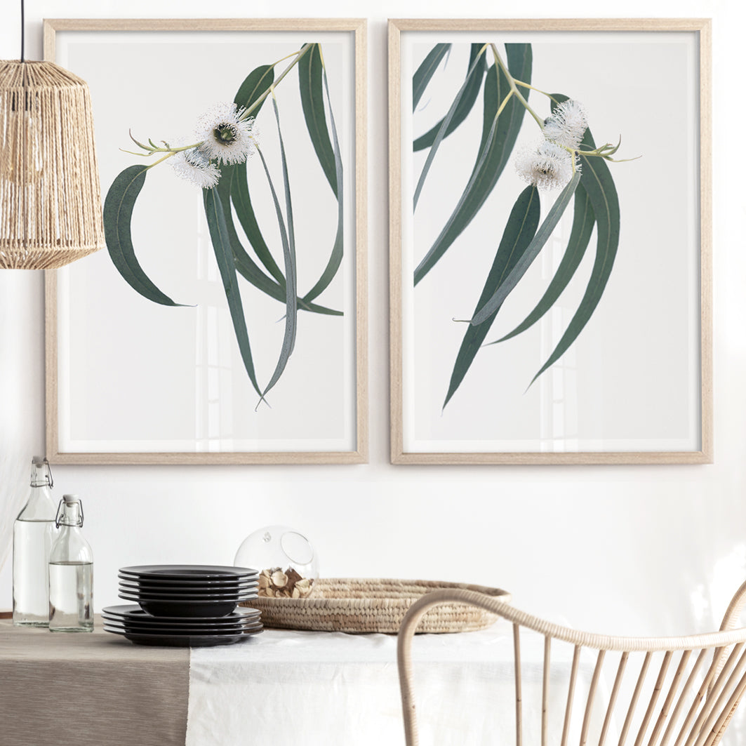 Set of Eucalyptus Australian Wall Art | Native Australiana Prints ...