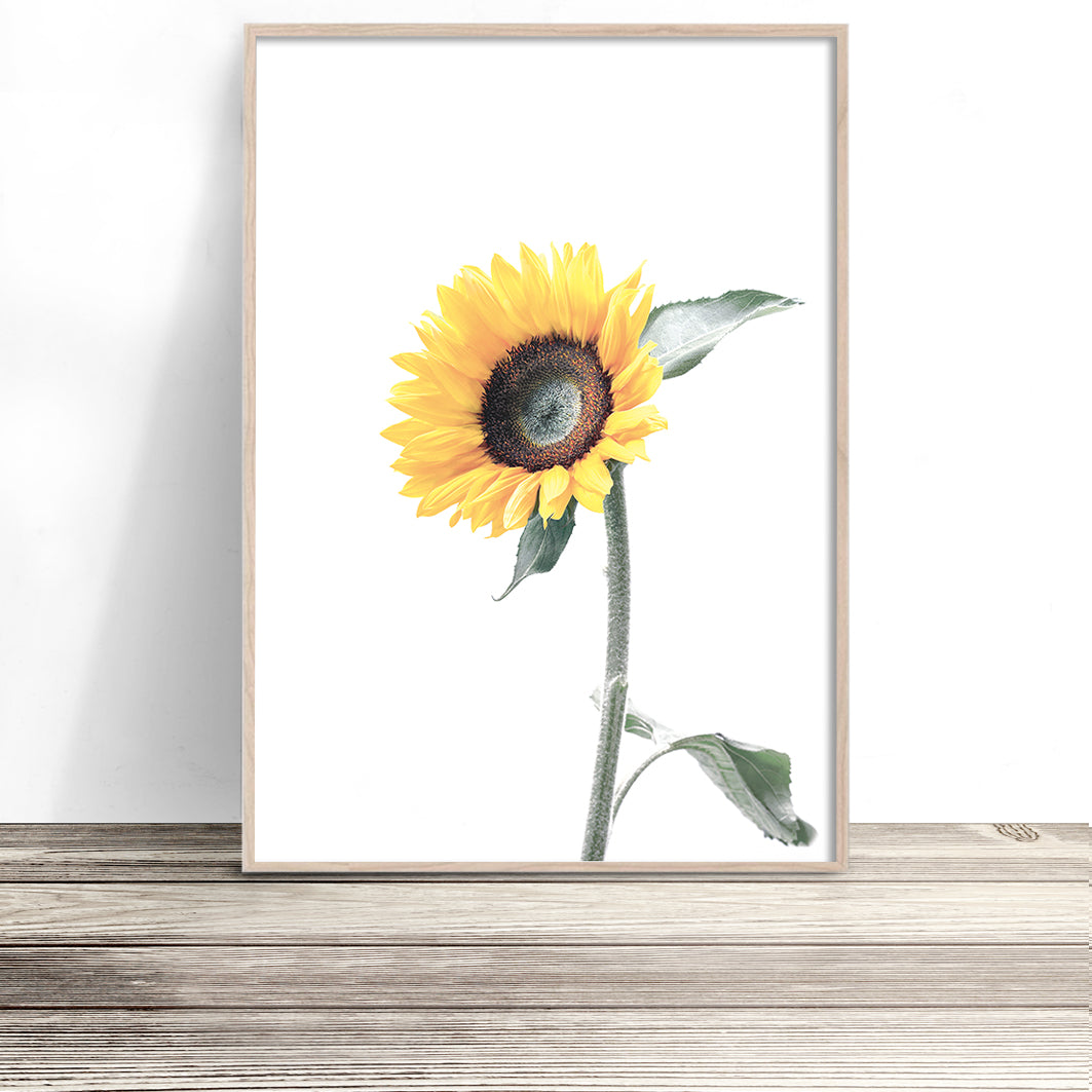 SHOP Sunflower Art | Flower Prints Australia – Little Ink Empire