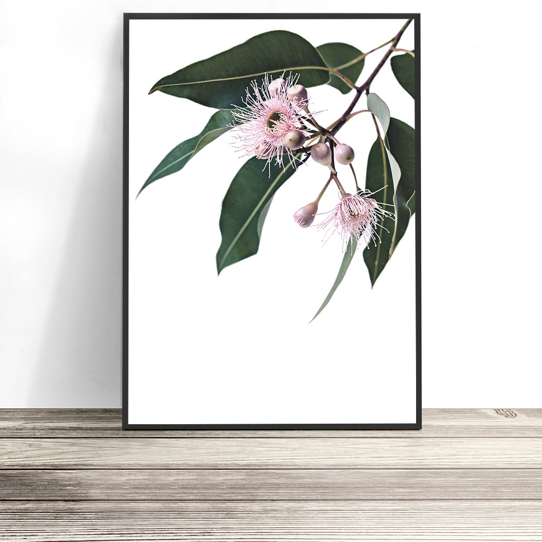 Eucalyptus Flower Print | Native Australian Floral Art | Gum Tree ...