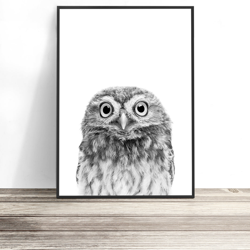 Buy Baby Owl Art Print | Kids Room and Nursery Wall Art – Little Ink Empire