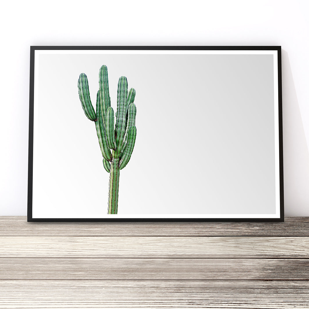 Minimalist Cactus Print – Little Ink Empire