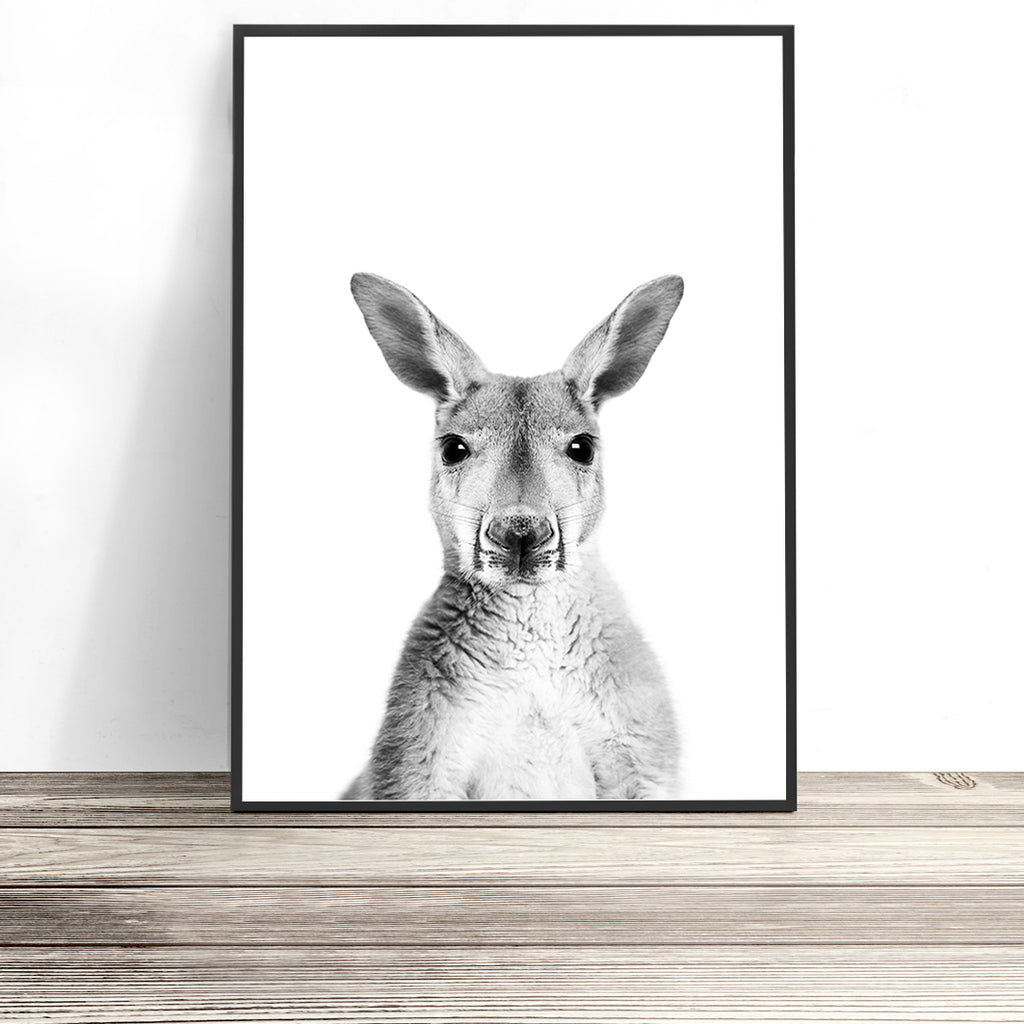 Native Australian Animals Kangaroo Should Victorians Eat Kangaroo Meat