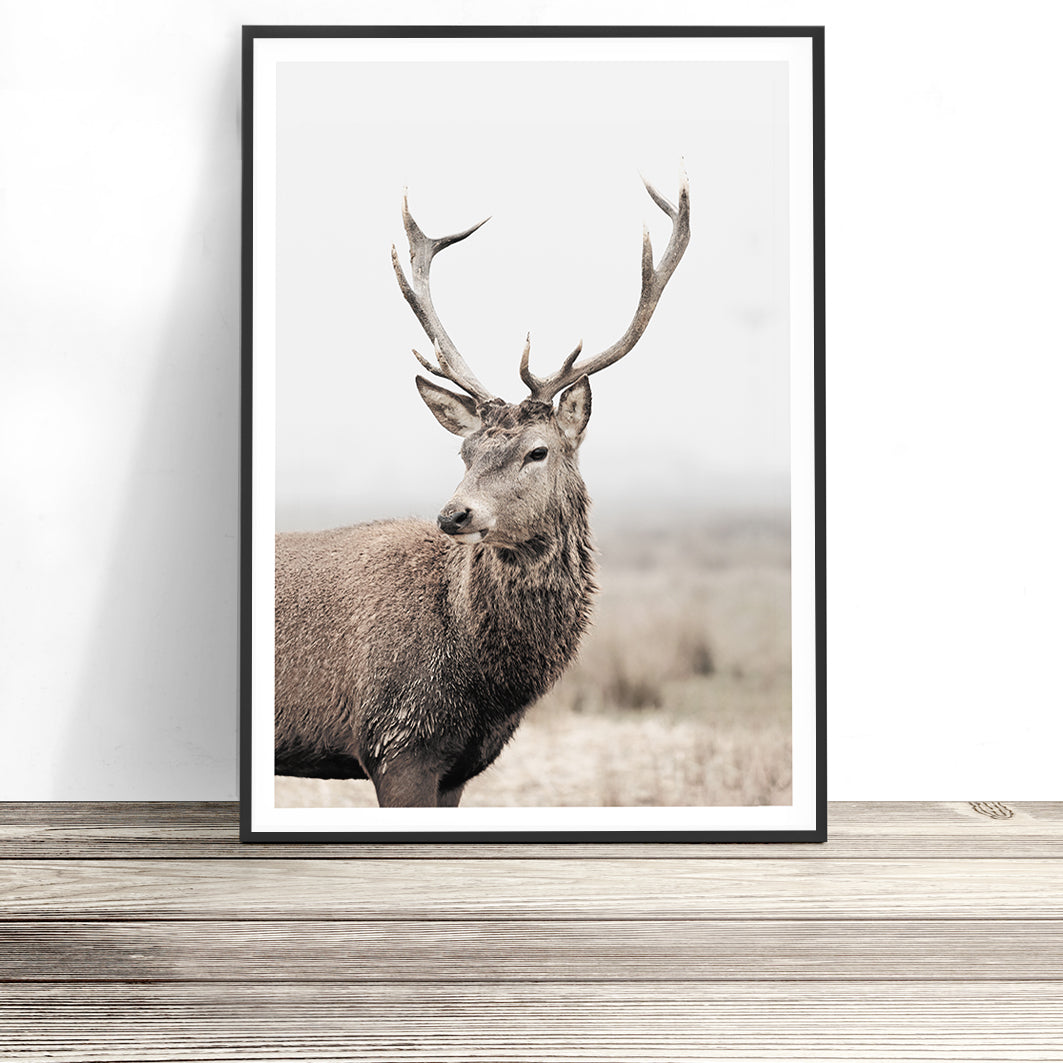 Stag Print | Scandinavian Prints | Deer Art Poster – Little Ink Empire